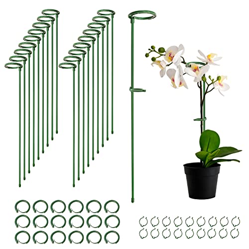 Plant Stakes,Plant Support Stakes with Rings for Indoor and Outdoor Plants.MIALEXO 19Pcs Plant Support Sticks Suitable for Potted Plant Flowers Tomatoes Peony Lily Rose (17.6-18inches)