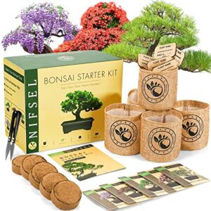 bonsai tree kit -nifsel bonsai growing kit - complete starter kit, 5 types of trees - culture medium, plant marker, burlap pots - indoor garden gardening - unique garden gift, housewarming present