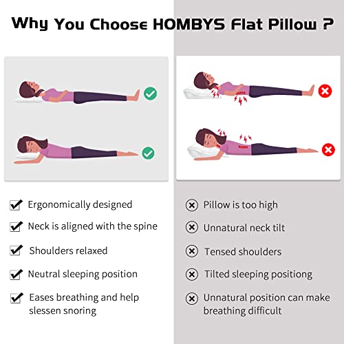 HOMBYS Thin Stomach Sleeper Bed Pillows for Sleeping, 2.75 Inch Thin Slim Flat Pillow for Stomach and Back Sleepers, Extra Low Profile Pillow 18x26(Standard,Grey)