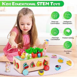 8-in-1 Toddlers Montessori Wooden Educational Toys for Baby Boy Girl 1 2 3 Year Old, Shape Sorting Toys Gifts for Kids 2-4, Preschool Learning Fine Motor Skills Game Carrot Harvest Game Toys for 1-3