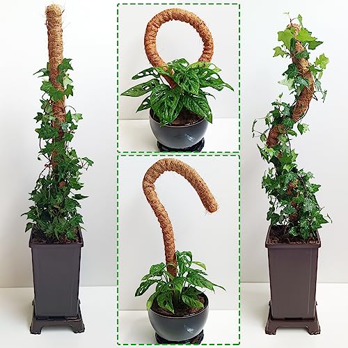 2 Pack 28 Inch Moss Pole, Bendable Moss Pole for Plants Monstera, Moss Poles for Climbing Plants Indoor, Handmade Coco Coir Plant Pole Sticks Support Stakes for Potted Plants