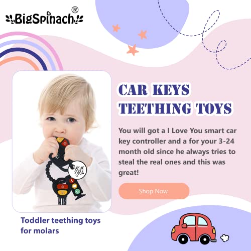 BIGSPINACH Baby Teething Keys Toys 6 to 12 Months,Gothic Car Keys Baby Teether Combo Set,Car Key Remote Toy Controller for Toddler(Gothic) (Gothic, Black)