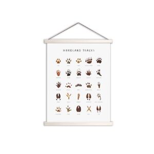 woodland tracks hanging poster, canvas artwork woodland nursery decor 16x20 inch, animal tracks field guide sign, forest nursery decor, boy nursery wall decor, jungle nursery decor for kids