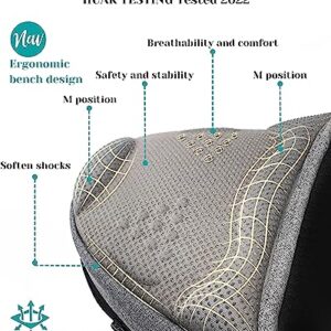 FLEEROSE - CPC-Certified Hip Seat Baby Carrier - New Ergonomic Bench Design, Multiple Pockets & Lumbar Support & Breathable Materials for Newborns & Toddlers, All Seasons & 4 Positions (Carrier, Grey)