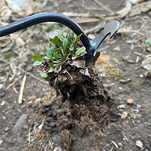 TNOODA Weeding Artifact Uprooting Weeding Tool, 2023 New Premium Manganese Steel Forged Weed Puller 4 Teeth Dual Purpose Weeder, Manual Hand Weeder Tool for Garden with Long Handle for Garden (A+B+C)