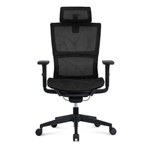 riloop office chair chair ergonomic, computer chair adjustable seat height with back support and arms, desk chair comfy, study chair for home, office and executive