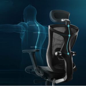 ZLBYB Ergonomic Computer Chair Home Waist Engineering Office Chair E-Sports Seat Human Design Multi-Function Adjustment