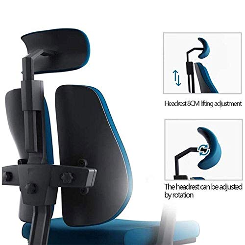 ZLBYB Creative Computer Chair Ergonomic Spine Chair Simple Waist Double Back Chair Mesh Office Chair (Color : Blue)