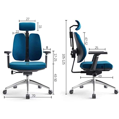 ZLBYB Creative Computer Chair Ergonomic Spine Chair Simple Waist Double Back Chair Mesh Office Chair (Color : Blue)