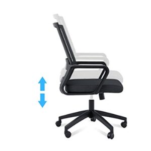 ZLBYB Desk Chair Mesh Computer Chair with Lumbar Support Arms Cute Swivel Rolling Task Mid Back Executive Chair for Women Men Adults Girls