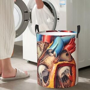 Human Anatomy Heart Chart Laundry Basket Protable Circular Laundry Hamper Storage Bin Organizer With Handles For Bathroom,Bedroom Clothes