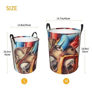 Human Anatomy Heart Chart Laundry Basket Protable Circular Laundry Hamper Storage Bin Organizer With Handles For Bathroom,Bedroom Clothes