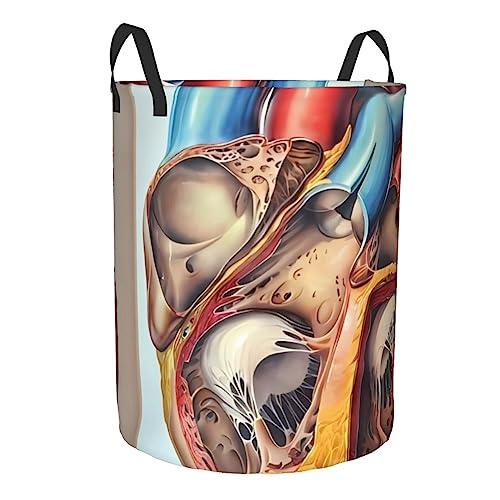 Human Anatomy Heart Chart Laundry Basket Protable Circular Laundry Hamper Storage Bin Organizer With Handles For Bathroom,Bedroom Clothes