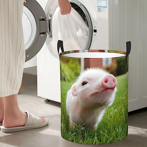 Naughty Pig Baby Laundry Basket Protable Circular Laundry Hamper Storage Bin Organizer With Handles For Bathroom,Bedroom Clothes