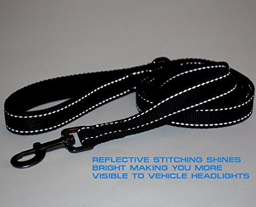 Max and Neo Reflective Nylon Dog Leash - We Donate a Leash to a Dog Rescue for Every Leash Sold (Black, 6x1)