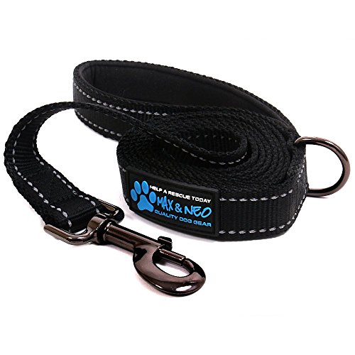 Max and Neo Reflective Nylon Dog Leash - We Donate a Leash to a Dog Rescue for Every Leash Sold (Black, 6x1)