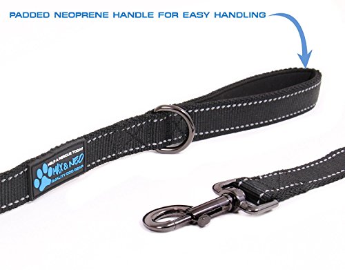 Max and Neo Reflective Nylon Dog Leash - We Donate a Leash to a Dog Rescue for Every Leash Sold (Black, 6x1)