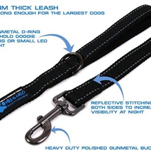 Max and Neo Reflective Nylon Dog Leash - We Donate a Leash to a Dog Rescue for Every Leash Sold (Black, 6x1)