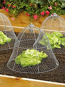 gardener's supply company sturdy chicken wire cloche plant protector & cover | sturdy metal cage garden protection for your plants and seedlings | no assembly required - 16" in diameter x 12-1/2" h