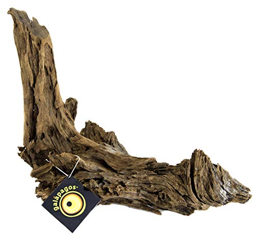 Galápagos (05286) Sinkable Driftwood Bed, Natural, Medium/Large/14-16"