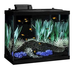 tetra colorfusion aquarium 20 gallon fish tank kit, includes led lighting and decor