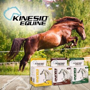 Kinesio Equine Tape - Tex Gold FP Horse Tape  -Tape Made Specifically for Horses  - 2”x 16’ Rolls - Green