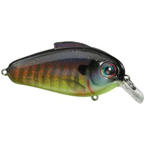 bill lewis lures lifelike echo 1.75 squarebill crankbait fishing wobble lure for shallow freshwater saltwater, sunrise perch