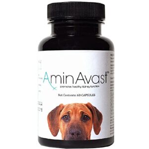 aminavast kidney support supplement for cats and dogs, 1000mg - promotes natural kidney function - aids in health and vitality of aging kidneys - easily administered - 60 sprinkle capsules