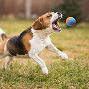 Snug Rubber Dog Balls for Small and Medium Dogs - Tennis Ball Size - Virtually Indestructible (3 Pack - Original)