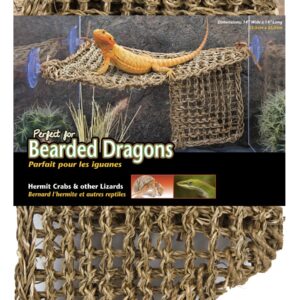 PENN-PLAX Reptology Lizard Lounger Corner Triangle with Ladder– 100% Natural Seagrass Fiber – Great for Bearded Dragons, Anoles, Geckos, and Other Reptiles – Large