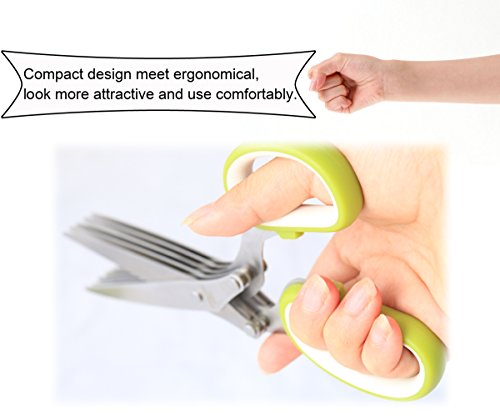 Joyoldelf Gourmet Herb Scissors Set - Master Culinary Multipurpose Cutting Shears with Stainless Steel 5 Blades, Herb Stripper, Safety Cover and Cleaning Comb for Cutting Cilantro Onion Salad