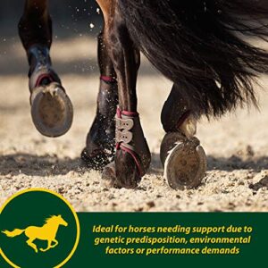 Farnam Horseshoer's Secret Extra Strength Hoof Supplements & Connective Tissue Supplement, Promotes Strong, Healthy Hooves, Tendon & ligaments, 7.5 lbs, 60 Day Supply