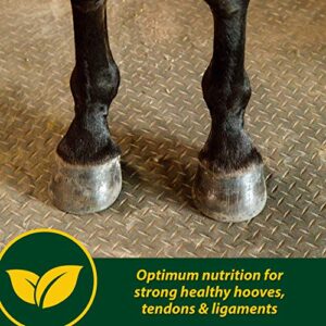 Farnam Horseshoer's Secret Extra Strength Hoof Supplements & Connective Tissue Supplement, Promotes Strong, Healthy Hooves, Tendon & ligaments, 7.5 lbs, 60 Day Supply