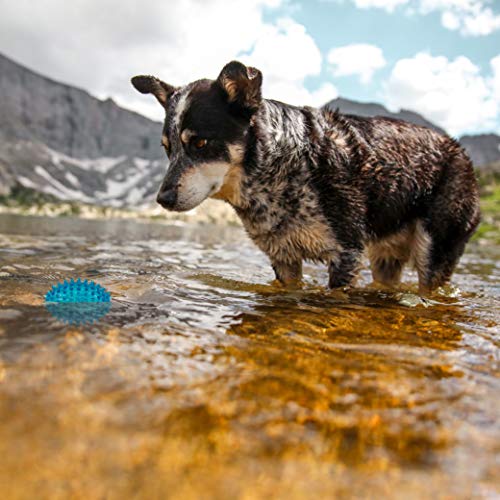 Gnawsome™ 3.5” Spiky Squeaker Football Dog Toy - Small, Cleans Teeth and Promotes Good Dental and Gum Health for Your Pet, Colors will vary