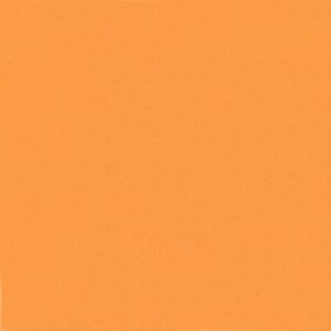 Pumpkin Orange Cardstock - 12 x 12 inch - 65Lb Cover - 25 Sheets - Clear Path Paper