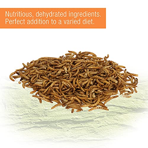 Zilla Reptile Munchies Mealworm .5 Ounces