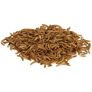 Zilla Reptile Munchies Mealworm .5 Ounces