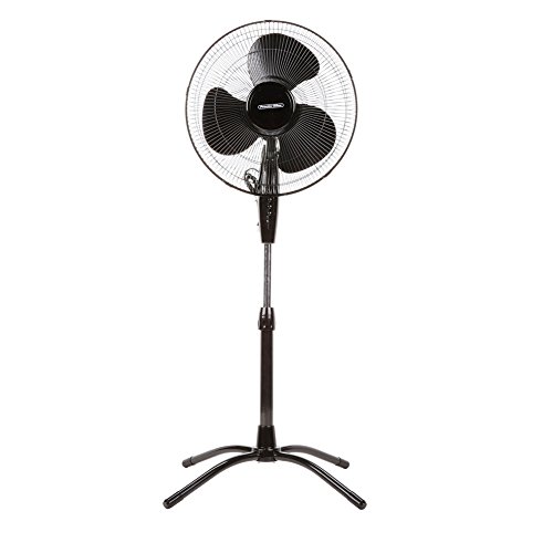 Proctor Silex Stand Fan, 16-Inch, Black