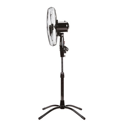 Proctor Silex Stand Fan, 16-Inch, Black