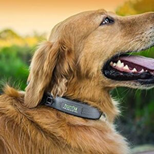 Mighty Paw Neoprene Padded Dog Collar, Reflective Running Dog Collar, Premium Quality Sports Collar, Extra Comfort for Active Dogs