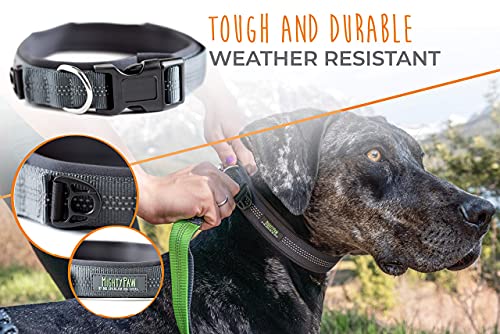 Mighty Paw Neoprene Padded Dog Collar, Reflective Running Dog Collar, Premium Quality Sports Collar, Extra Comfort for Active Dogs