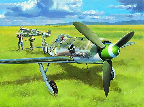 Hobby Boss FW190D-13 Focke-Wulf Building Kit (1/48 Scale)