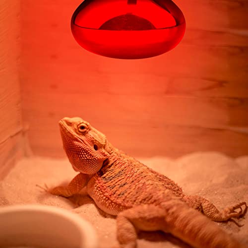 Aiicioo Reptile Red Night Light Bulb - 100W Reptile Heat Lamp Bulb Infrared Basking Spot Lamp for Bearded Dragon Lizard Turtle Hermit Crab Leopard Gecko Snake Chameleon Tank