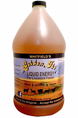 Golden Flo Livestock Liquid Energy, Gallon