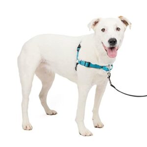 petsafe easy walk deluxe dog harness, no pull dog harness – perfect for leash & harness training – stops pets from pulling and choking on walks – medium/large, ocean