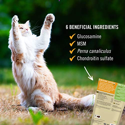 Pet Naturals Hip and Joint Support Supplement for Cats, 30 Chews - Glucosamine, Chondroitin and MSM for Cats