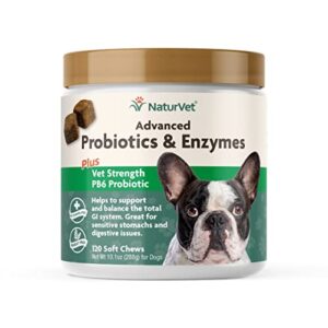 veterinarian strength advanced probiotics, healthy enzymes and pb6 probiotic supplement for your dogs stomach, intestine, digestion and gi tract health, made by naturvet, 120 soft chews