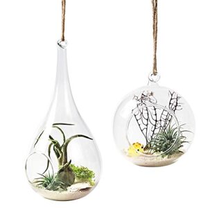 mkono 2 pack glass hanging planter air fern holder terrarium plants hanger vase home christmas decoration gift idea for succulent moss tillandsias air plants, globe and teardrop