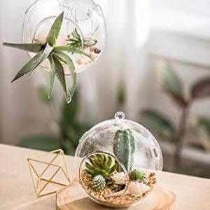 Mkono 2 Pack Glass Hanging Planter Air Fern Holder Terrarium Plants Hanger Vase Home Christmas Decoration Gift Idea for Succulent Moss Tillandsias Air Plants, Globe and Teardrop