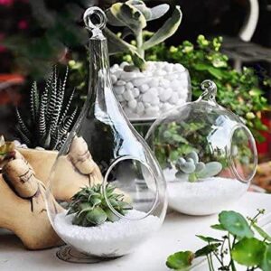 Mkono 2 Pack Glass Hanging Planter Air Fern Holder Terrarium Plants Hanger Vase Home Christmas Decoration Gift Idea for Succulent Moss Tillandsias Air Plants, Globe and Teardrop